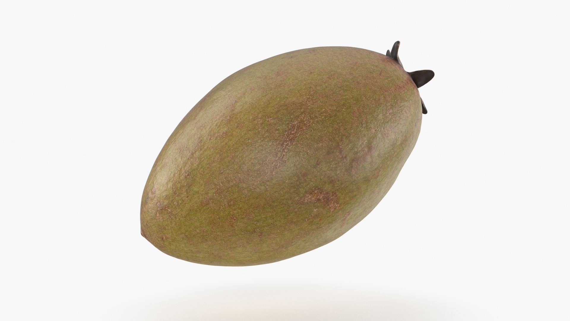 Whole Sapodilla 3D Model - TurboSquid 1970123