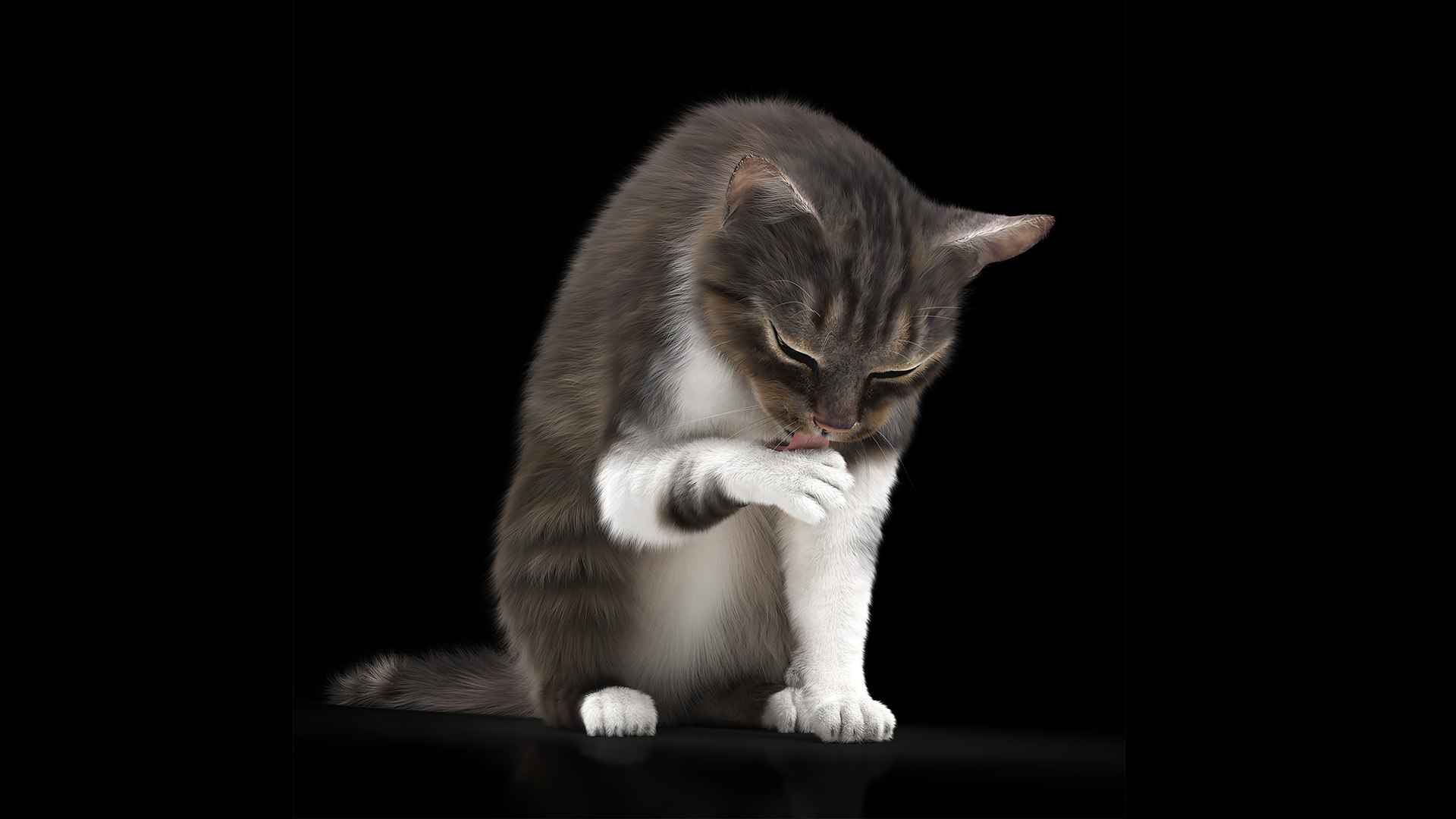 Realistic Cat 3D Model - TurboSquid 1780522