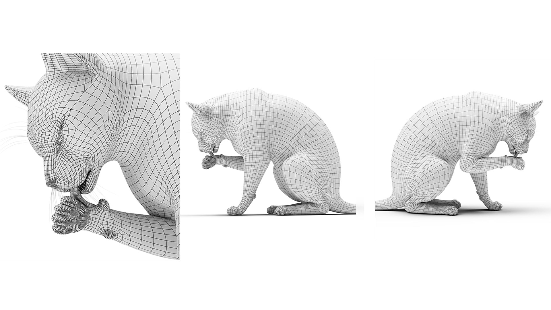 Realistic Cat 3D Model - TurboSquid 1780522