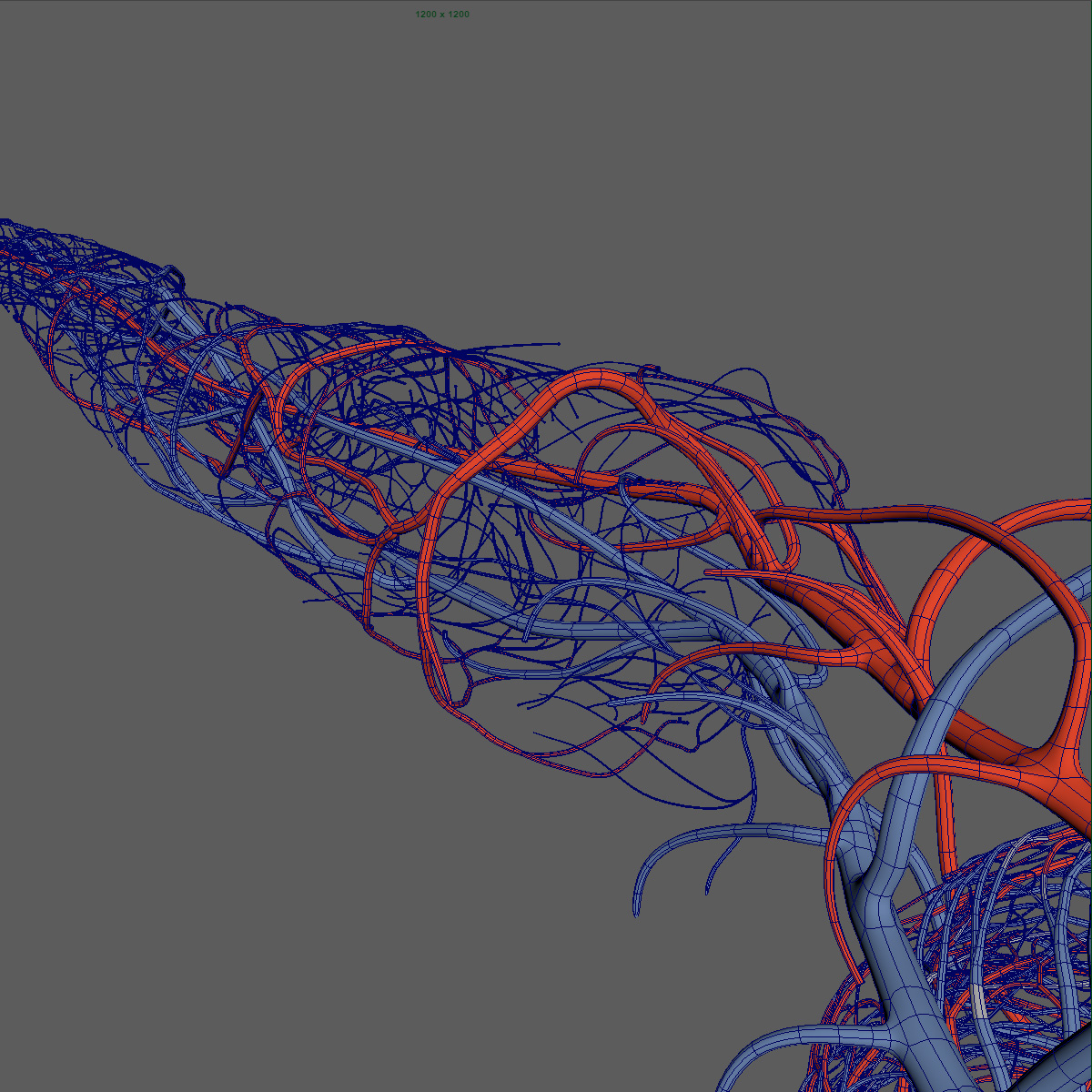 3D human circulatory - TurboSquid 1242662