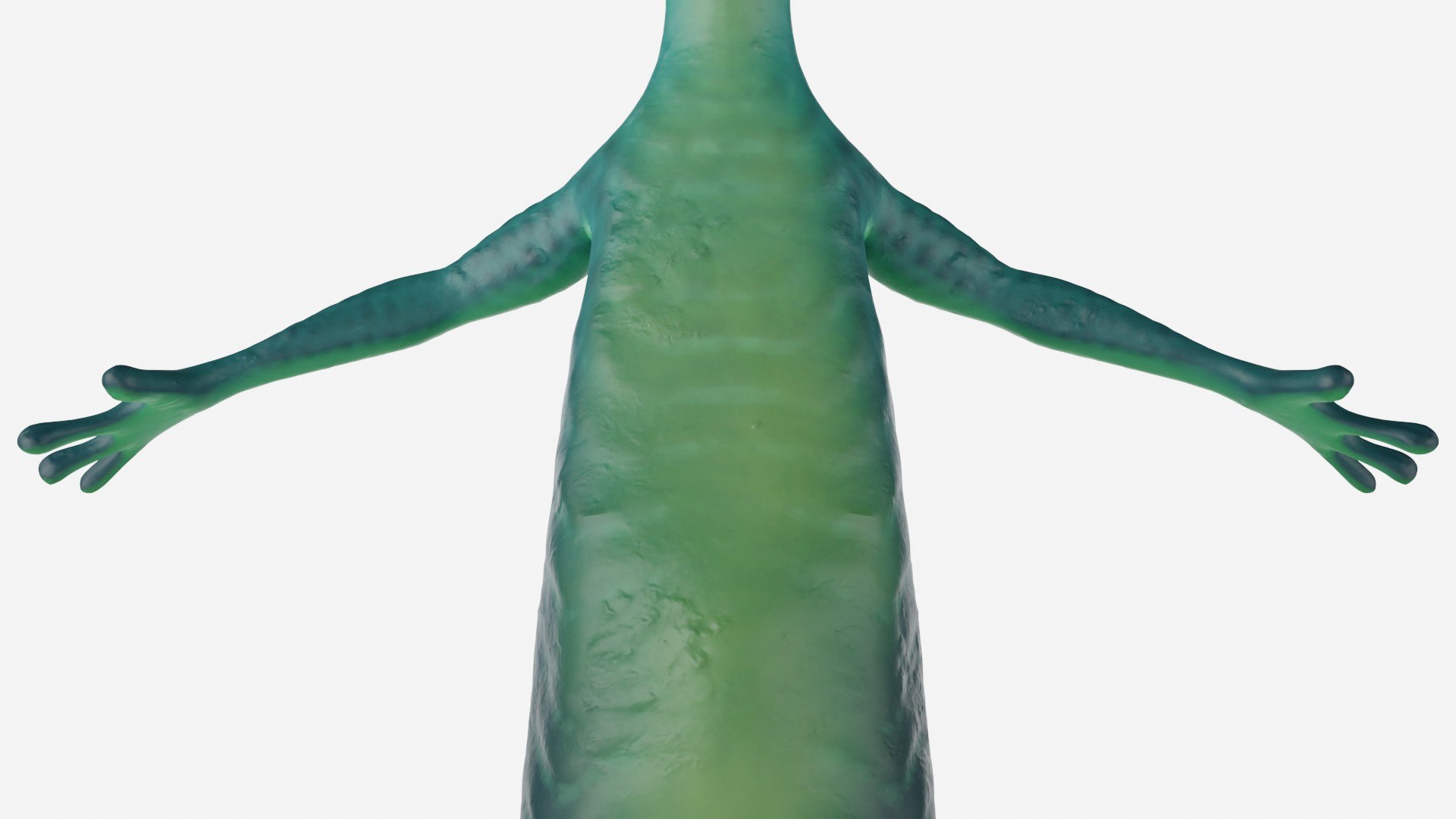 Lucky - Madeira Lizard 3D Model - TurboSquid 1975078