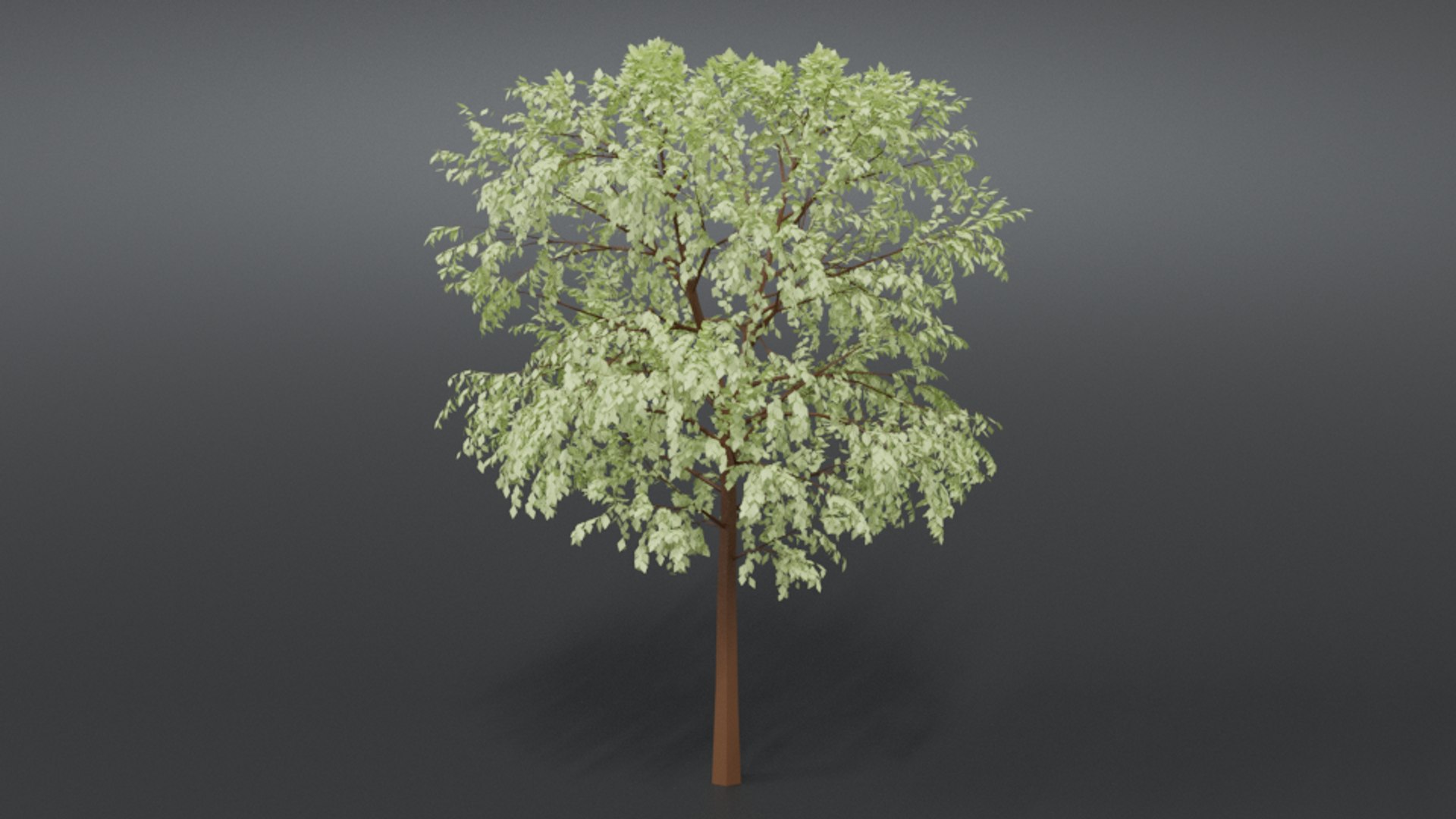 Cartoon Tree 3D Model - TurboSquid 1593777