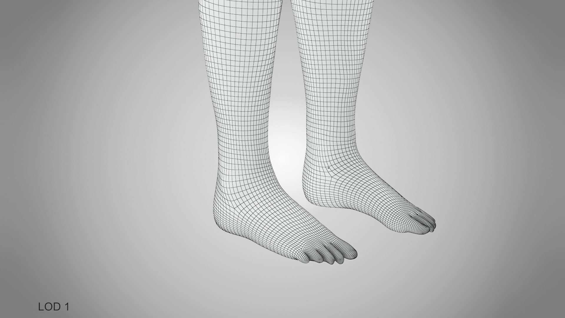 Musculoskeletal system with Body 3D model - TurboSquid 1924459