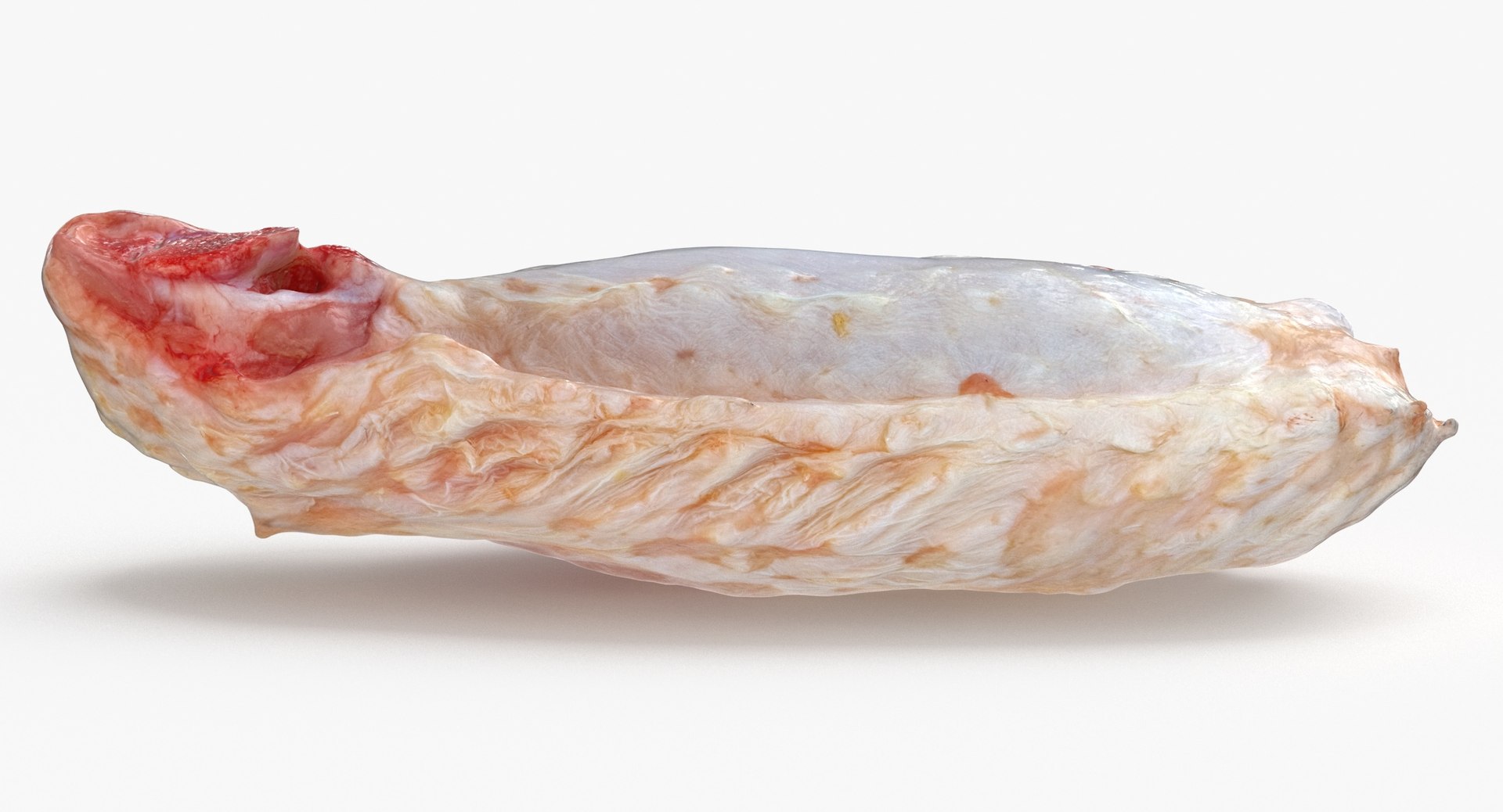 Chicken Wing 02 3D Model - TurboSquid 2017659