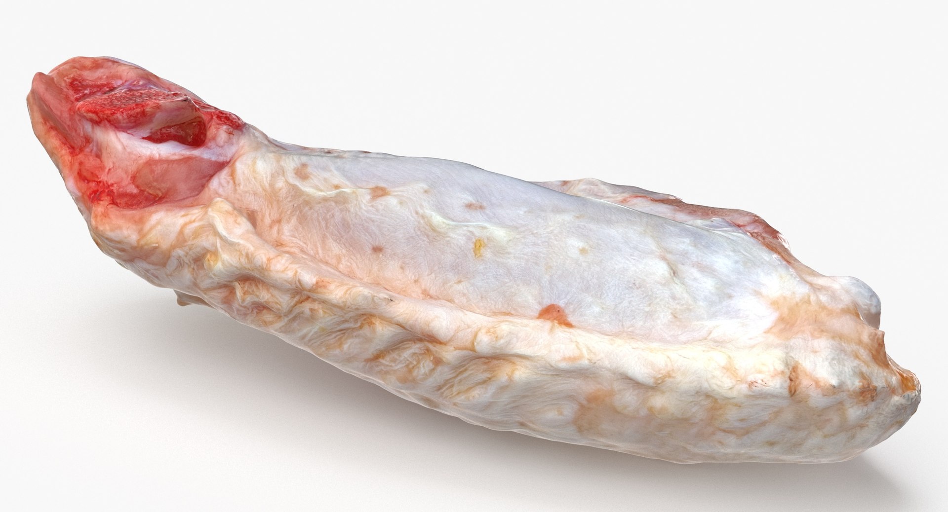 Chicken Wing 02 3D Model - TurboSquid 2017659