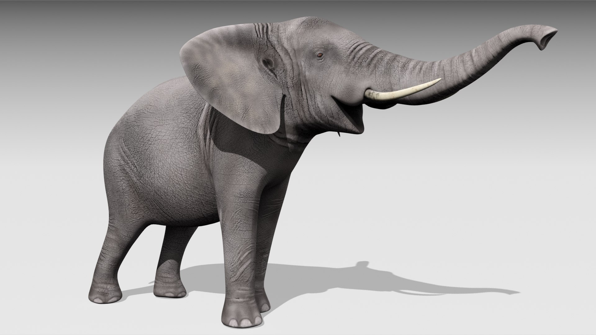 African Elephant 3D Model - TurboSquid 1840294