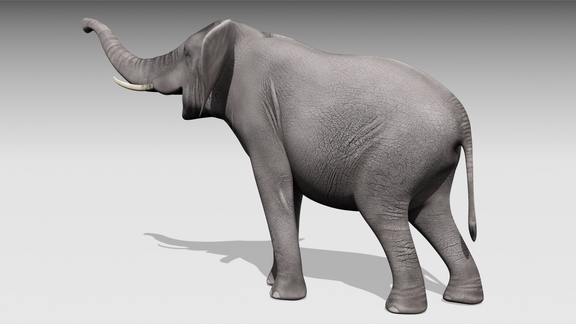 African Elephant 3D Model - TurboSquid 1840294