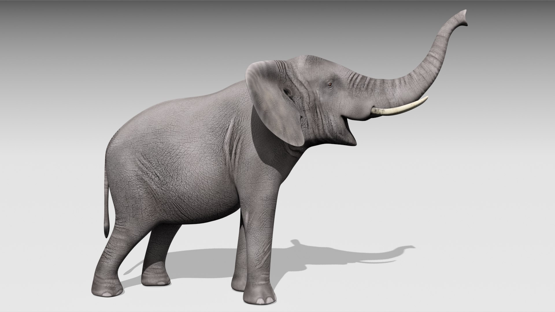 African Elephant 3D Model - TurboSquid 1840294