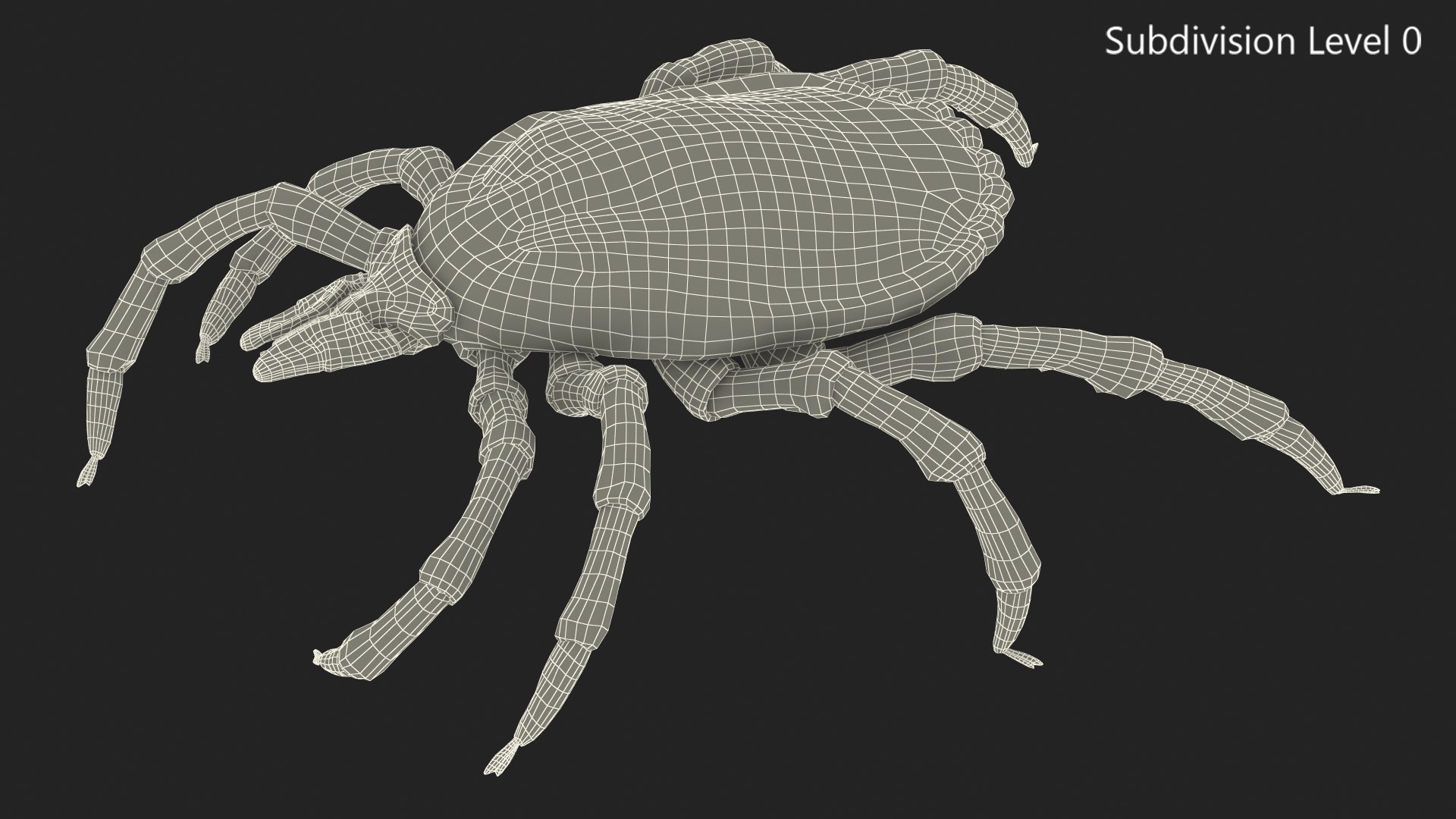 Tick Crawling Pose 3D Model - TurboSquid 1855177