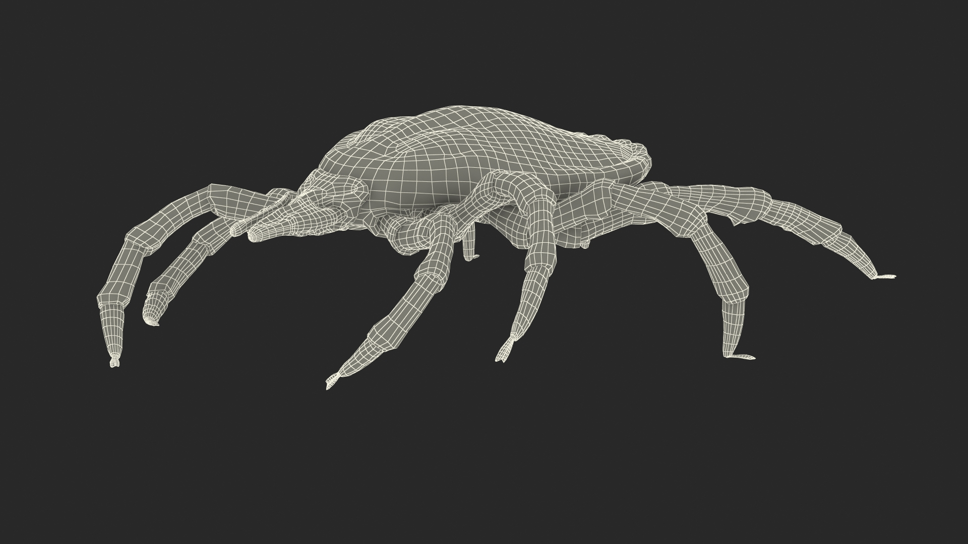 Tick Crawling Pose 3D Model - TurboSquid 1855177