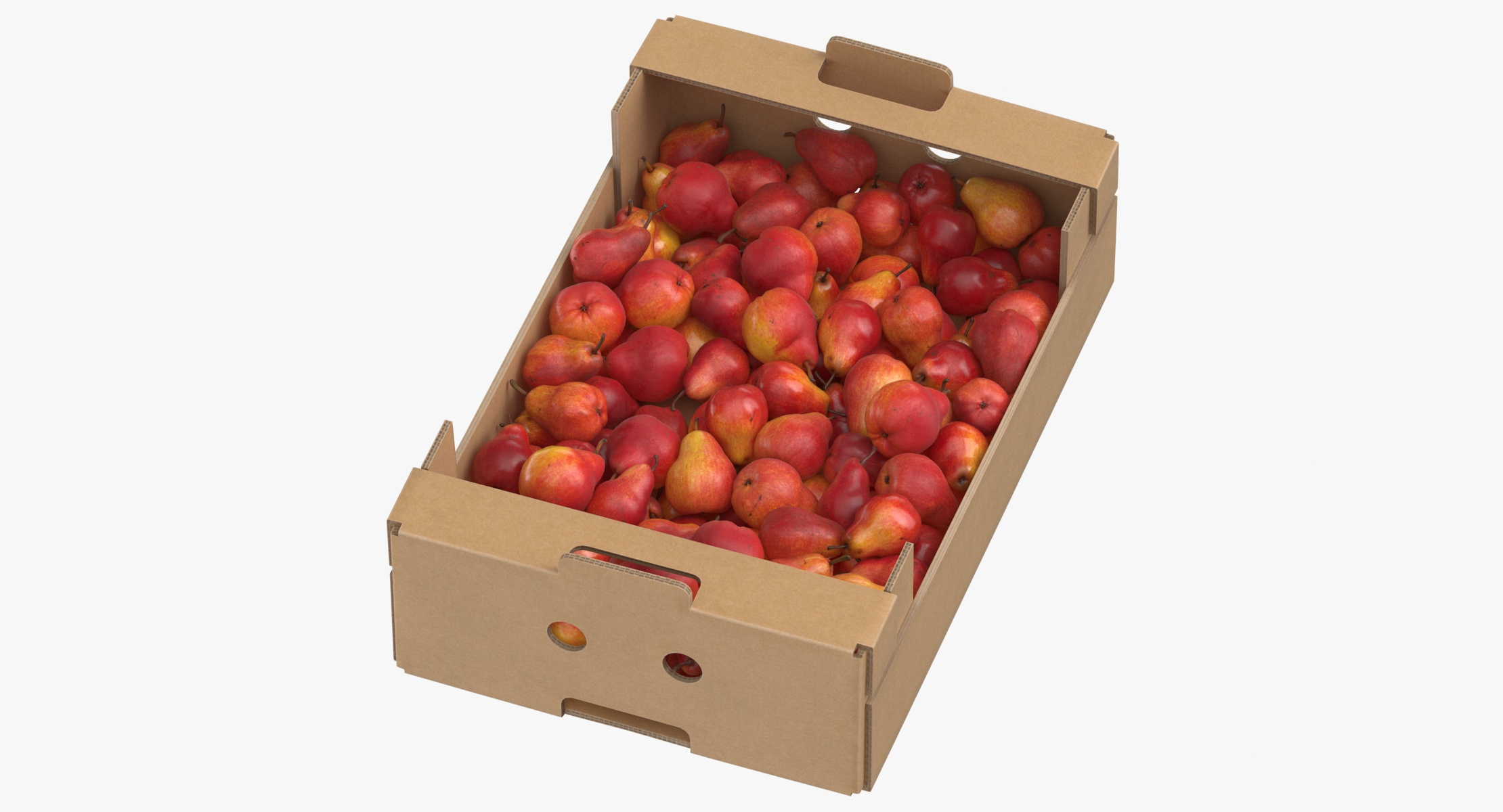 Modello 3D Espositore in cartone 02 con William Pear Red - TurboSquid ...