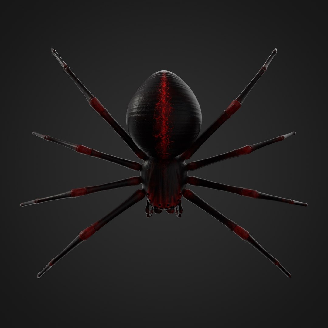 3D 8k Pbr Spider - TurboSquid 1648375