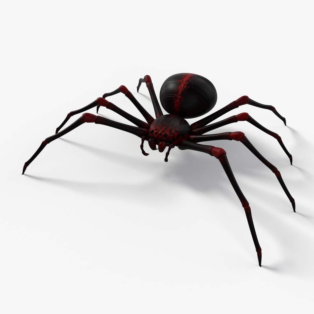 3D spider 8k pbr rigged model - TurboSquid 1648782