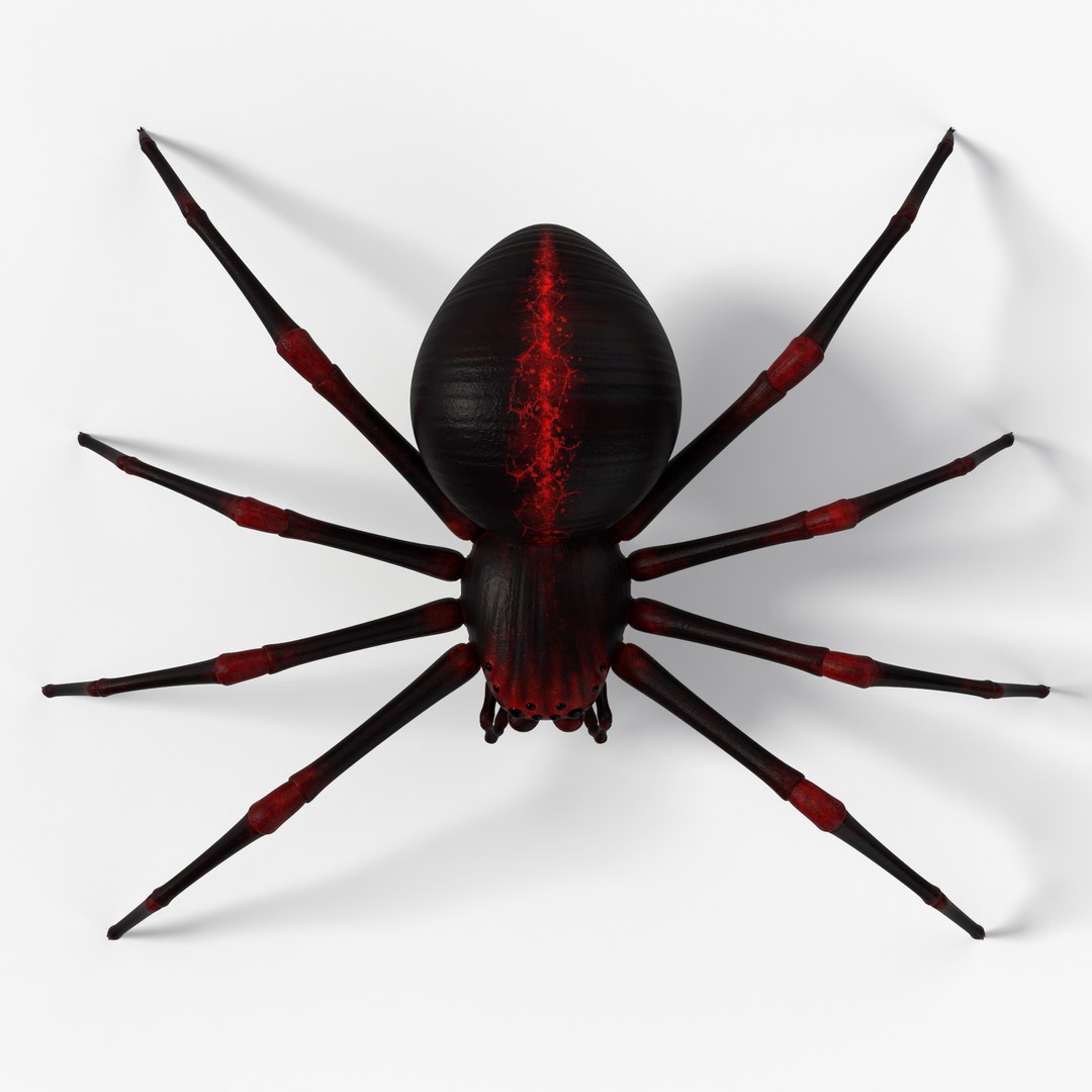 3D Spider 8k Pbr Rigged Model - TurboSquid 1648782