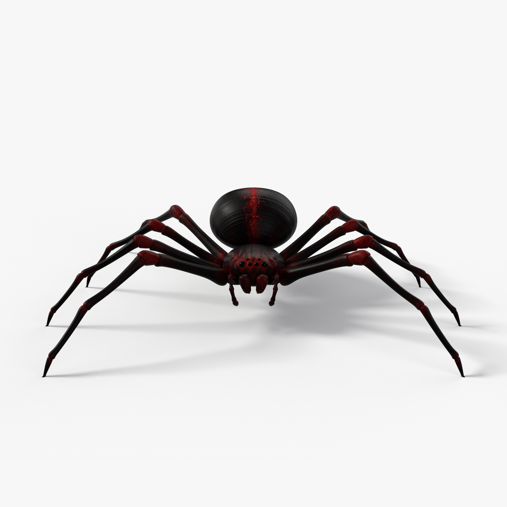 3D spider 8k pbr rigged model - TurboSquid 1648782