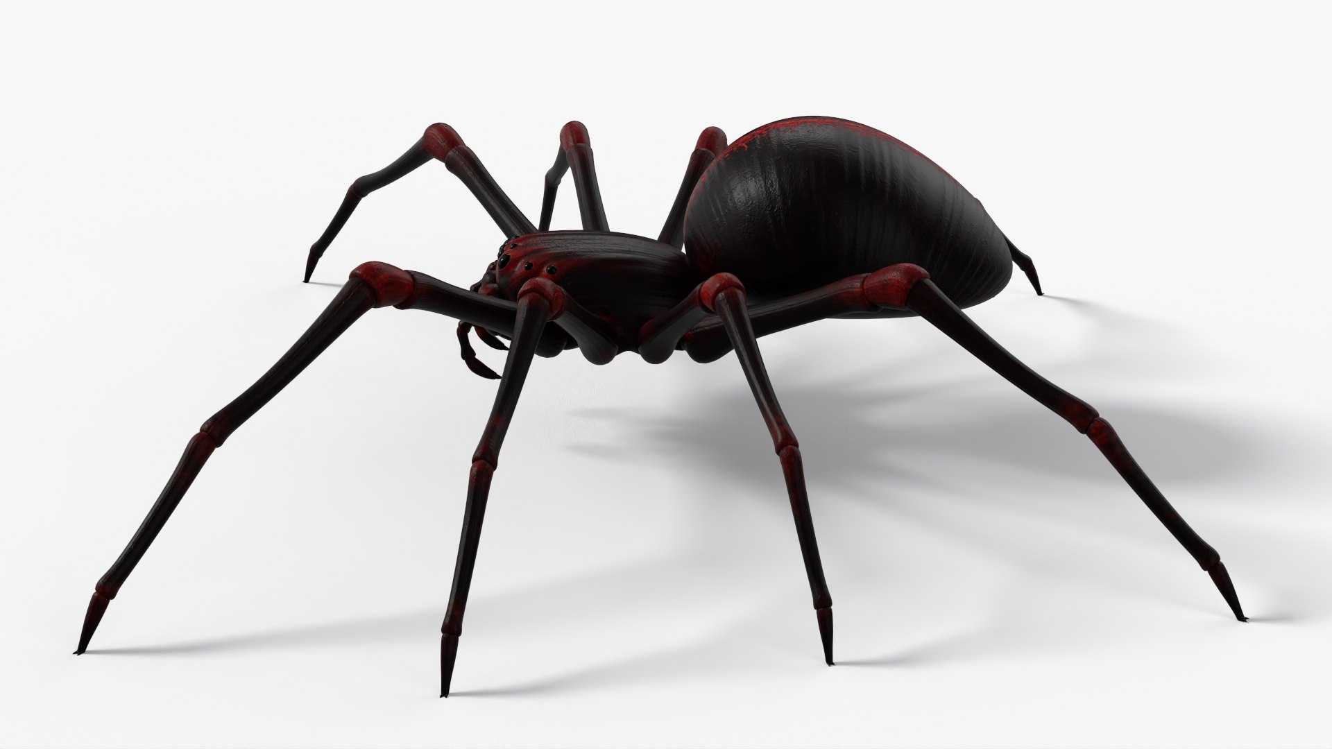 3D 8k Pbr Spider - TurboSquid 1648375