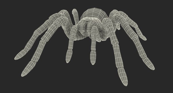 3D rigged spiders 2 model - TurboSquid 1516750