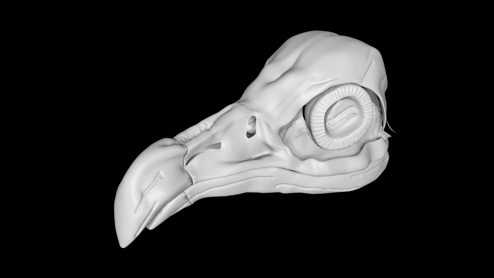 3D Model Vulture Skull - TurboSquid 1890606