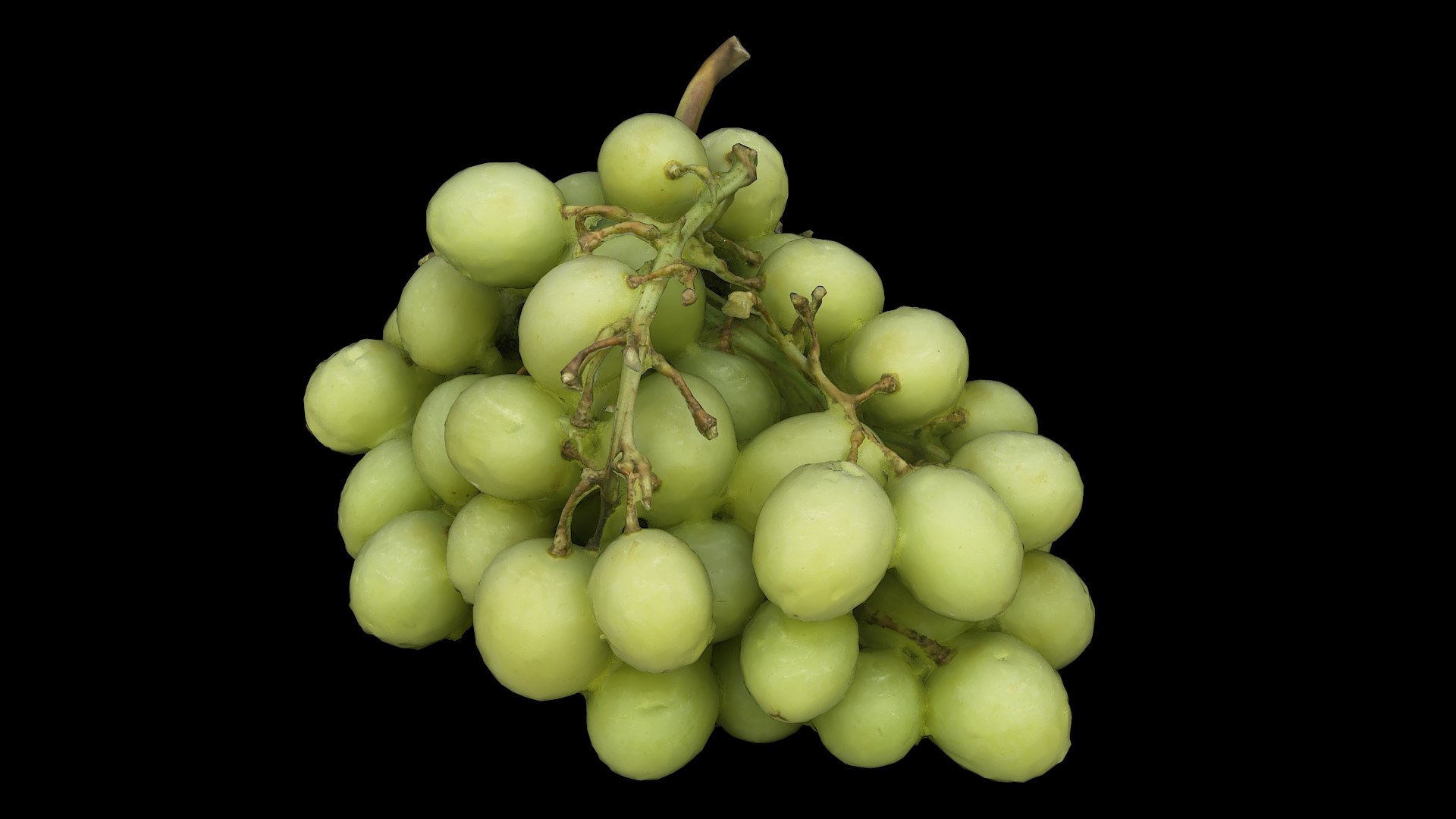 3D Bunch Of Grapes 02 - TurboSquid 2140998