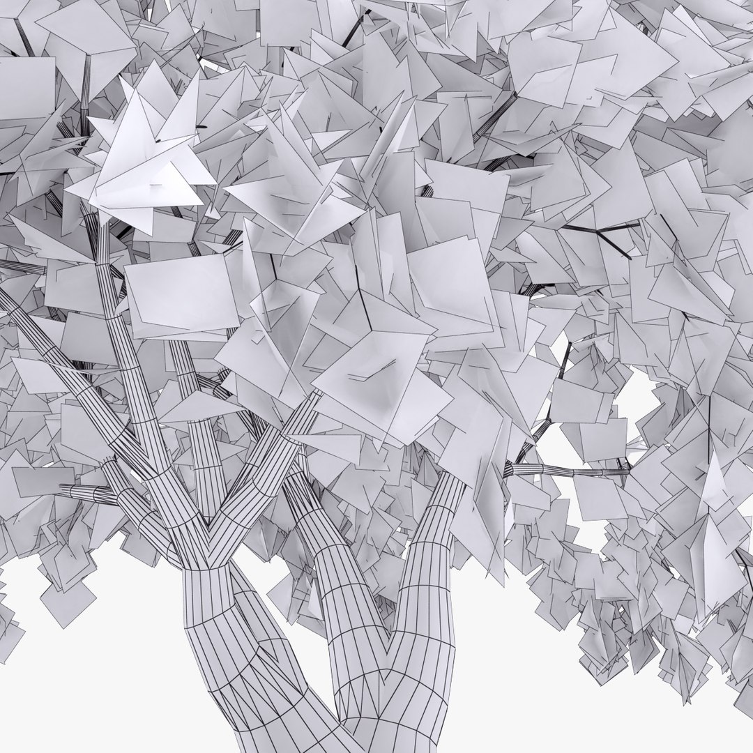 Deciduous 036 3d Model