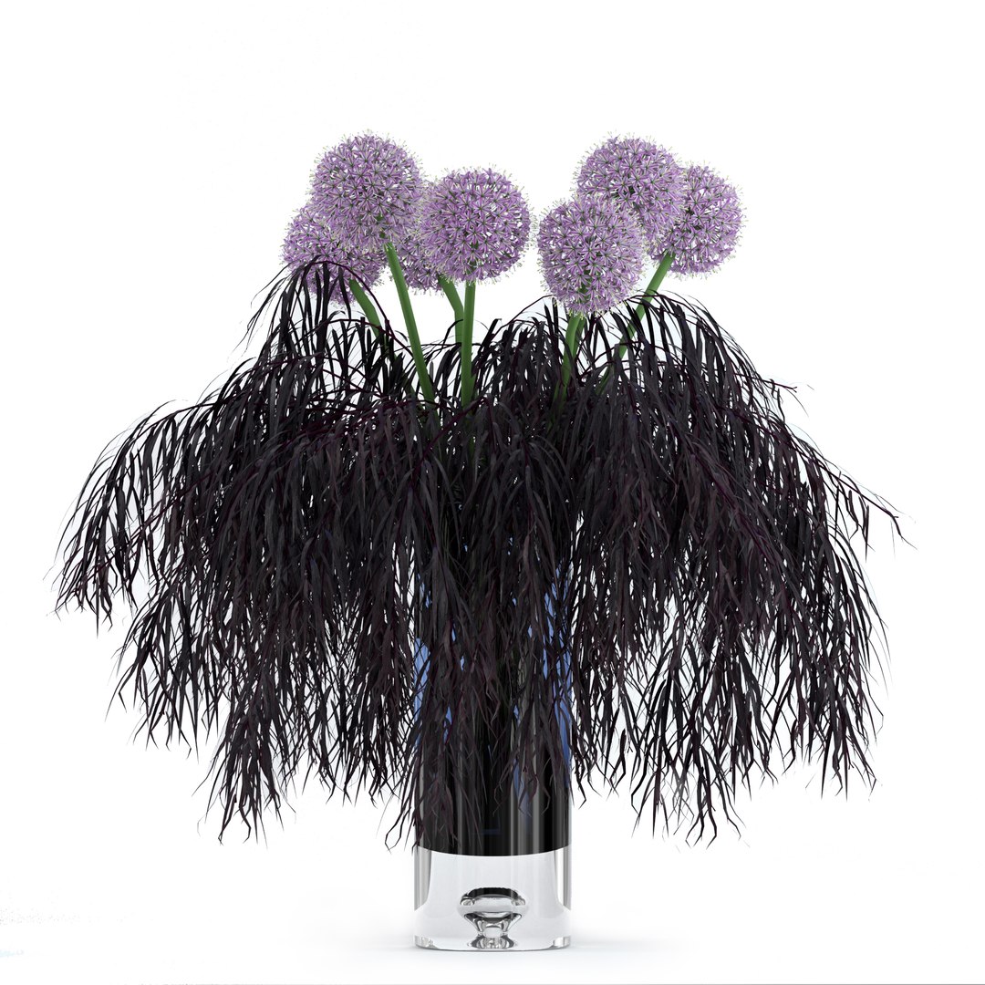 Realistic Agonis Allium Flowers 3D Model - TurboSquid 1219295