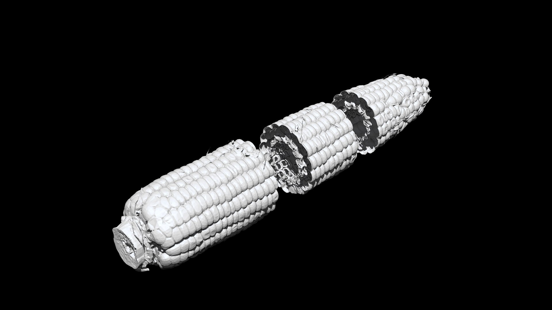 3D Corn 3D CT Scan Model Cut2 Decimate 10 Percent - TurboSquid 1945224