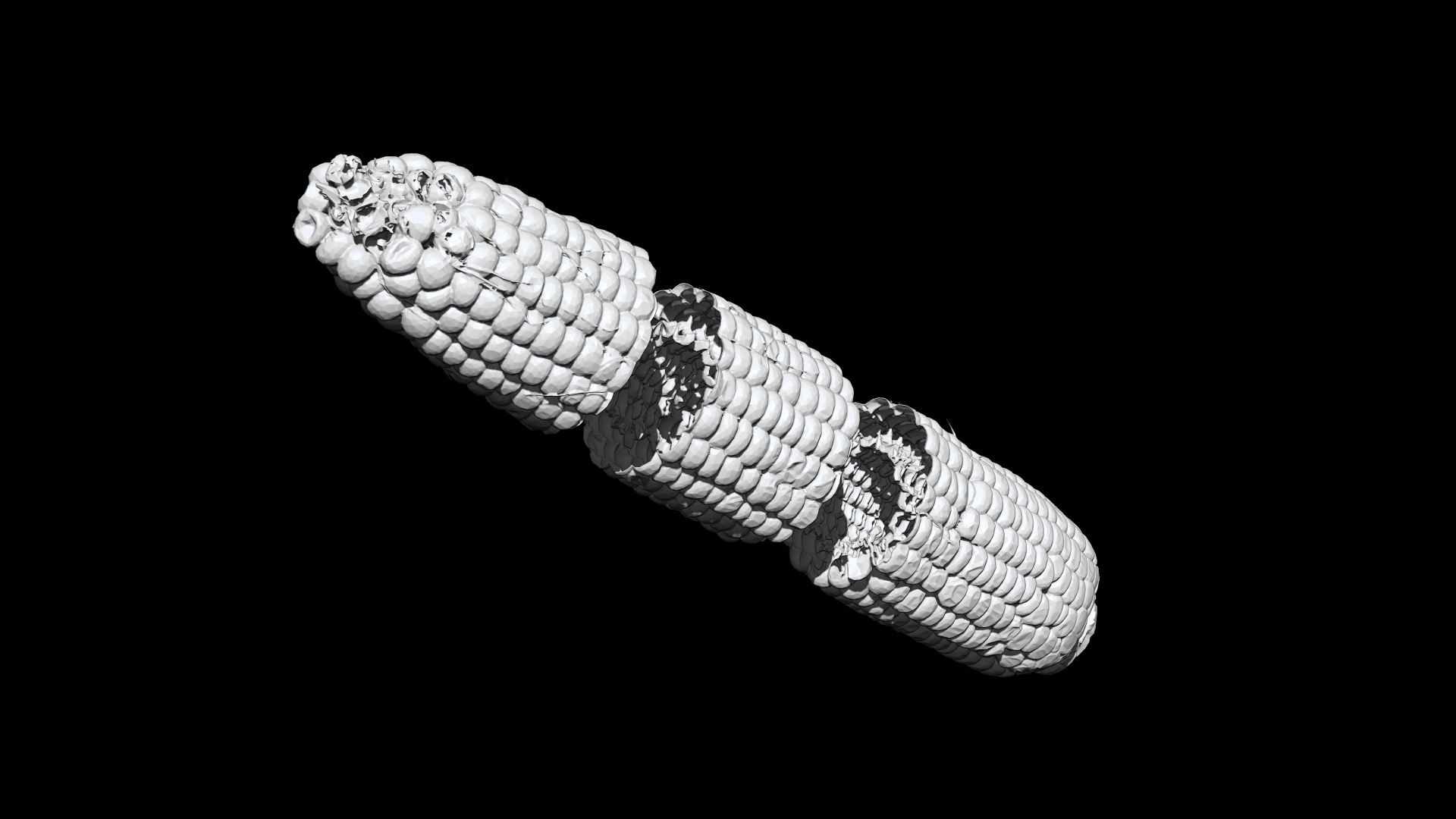 3D Corn 3D CT Scan Model Cut2 Decimate 10 Percent - TurboSquid 1945224
