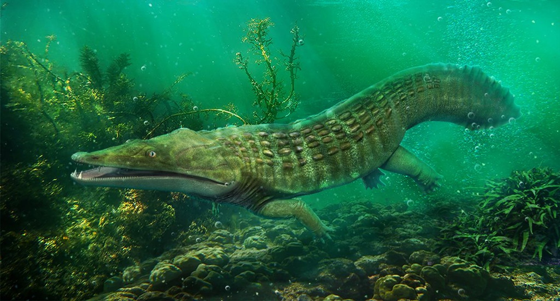 Trematosaurus 3D Model - TurboSquid 1343684