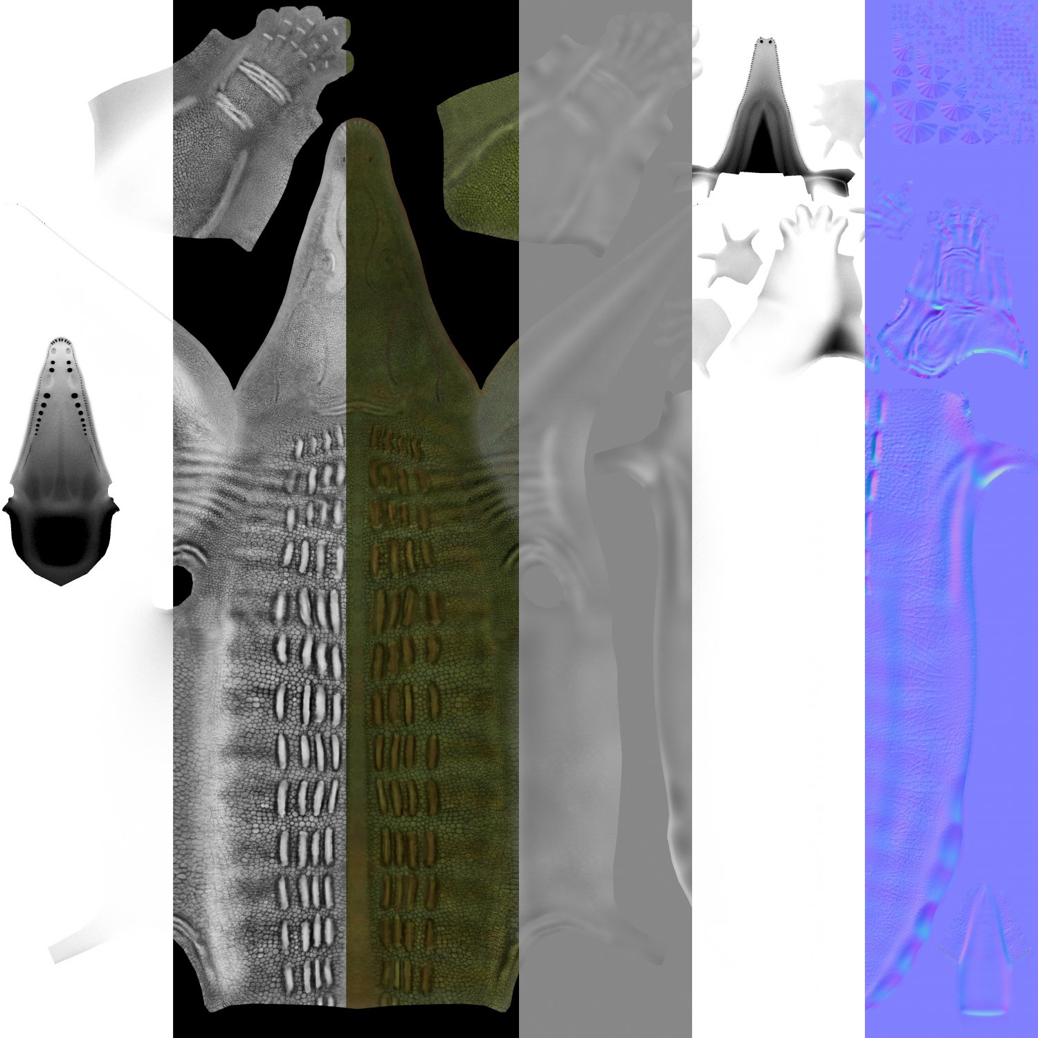 modelo 3d Trematosaurus brauni - TurboSquid 1343684