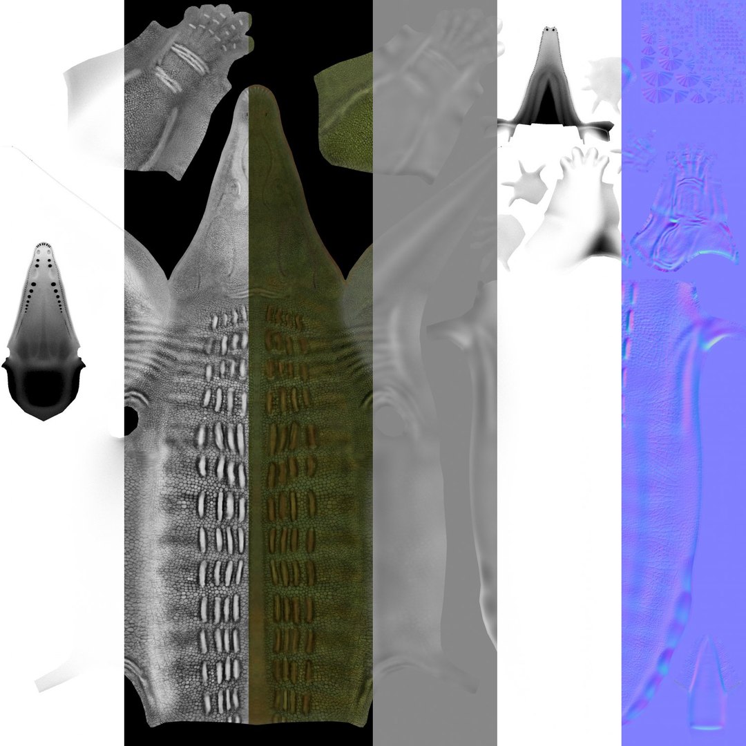 Trematosaurus 3D Model - TurboSquid 1343684