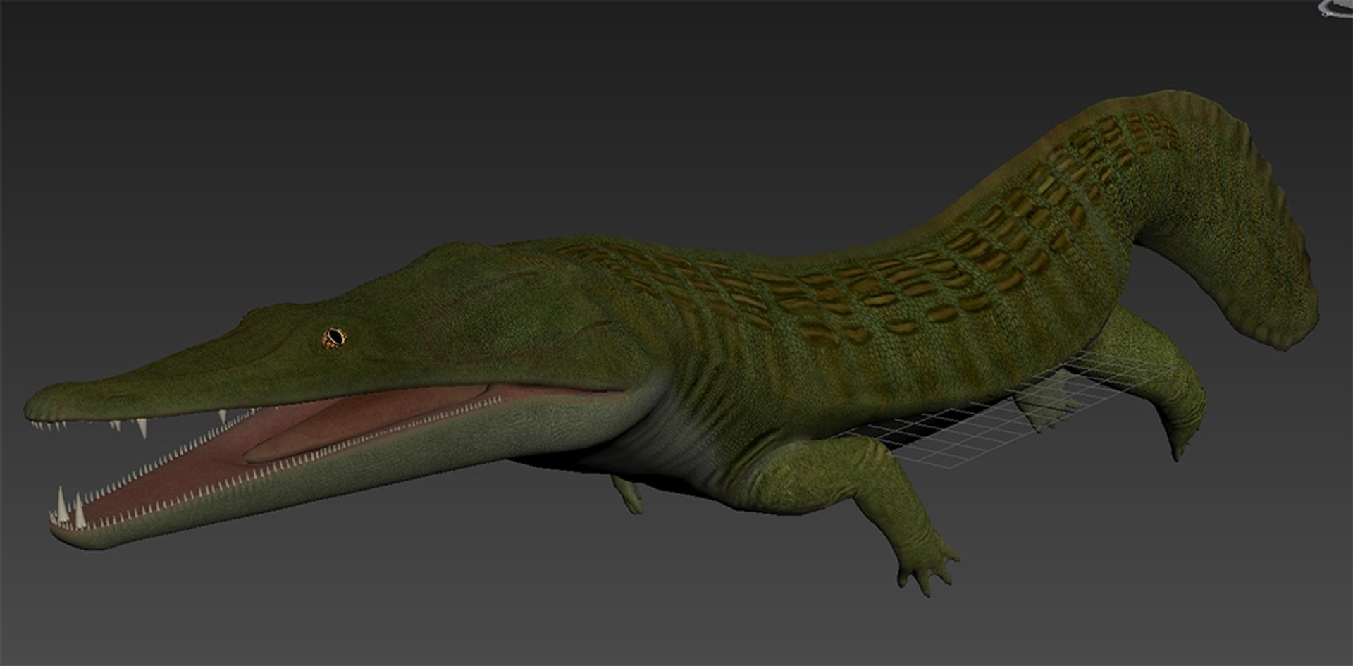 Trematosaurus 3D Model - TurboSquid 1343684