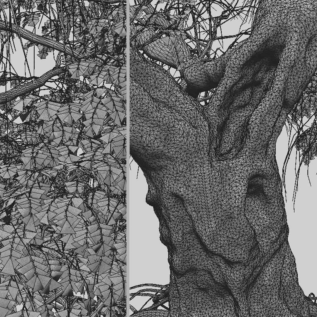 3D Set Of Ghaf Or Jand Tree - 2 Trees - TurboSquid 1989475