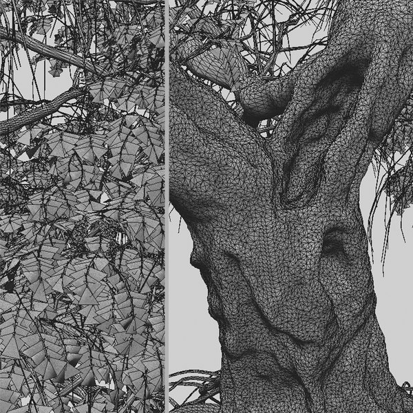 3D Set of Ghaf or Jand Tree - 2 Trees - TurboSquid 1989475