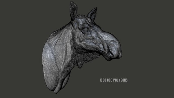 Moose Elk Head Sculpture Antlerless model - TurboSquid 1718540