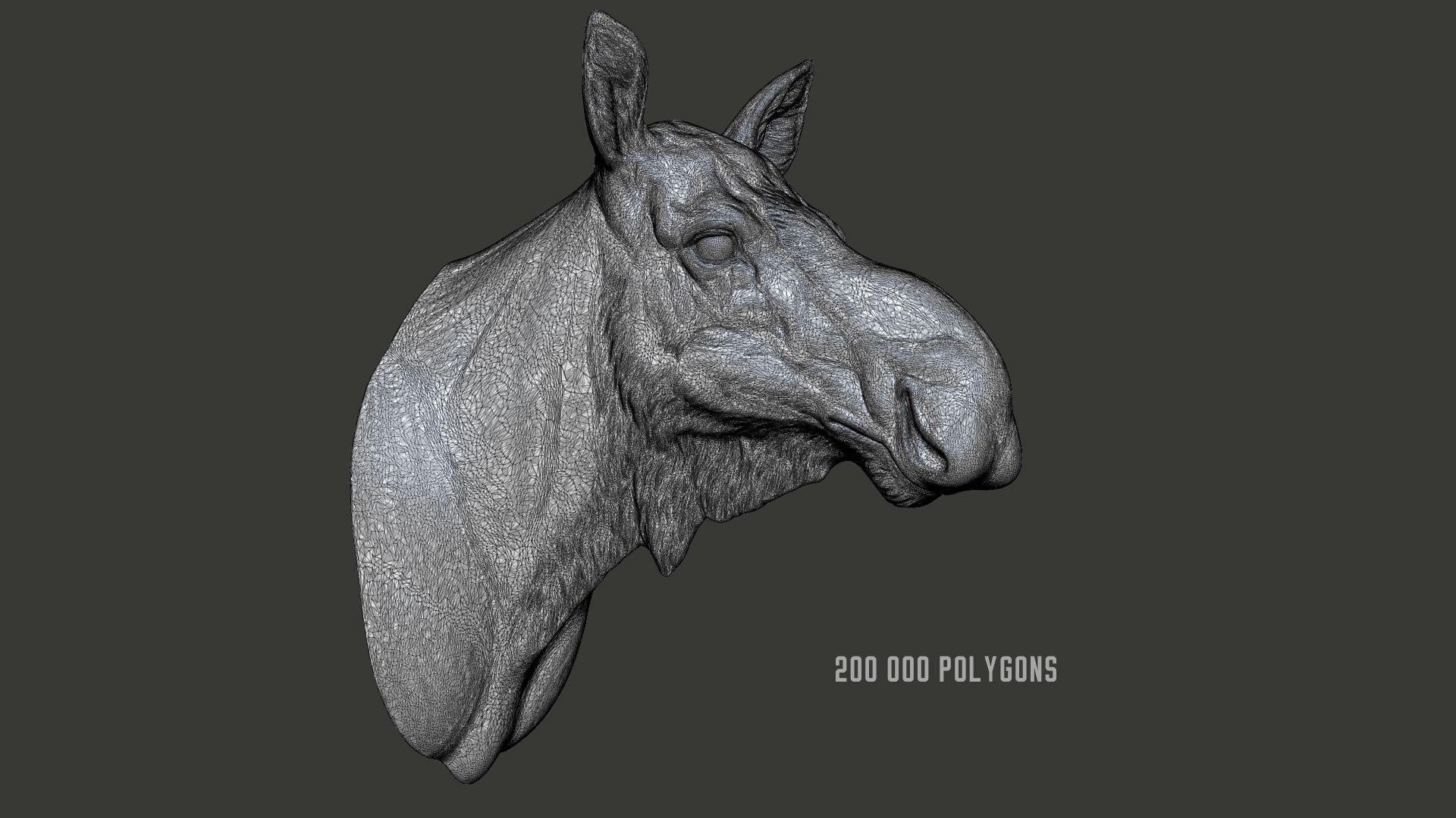 Moose Elk Head Sculpture Antlerless Model - TurboSquid 1718540