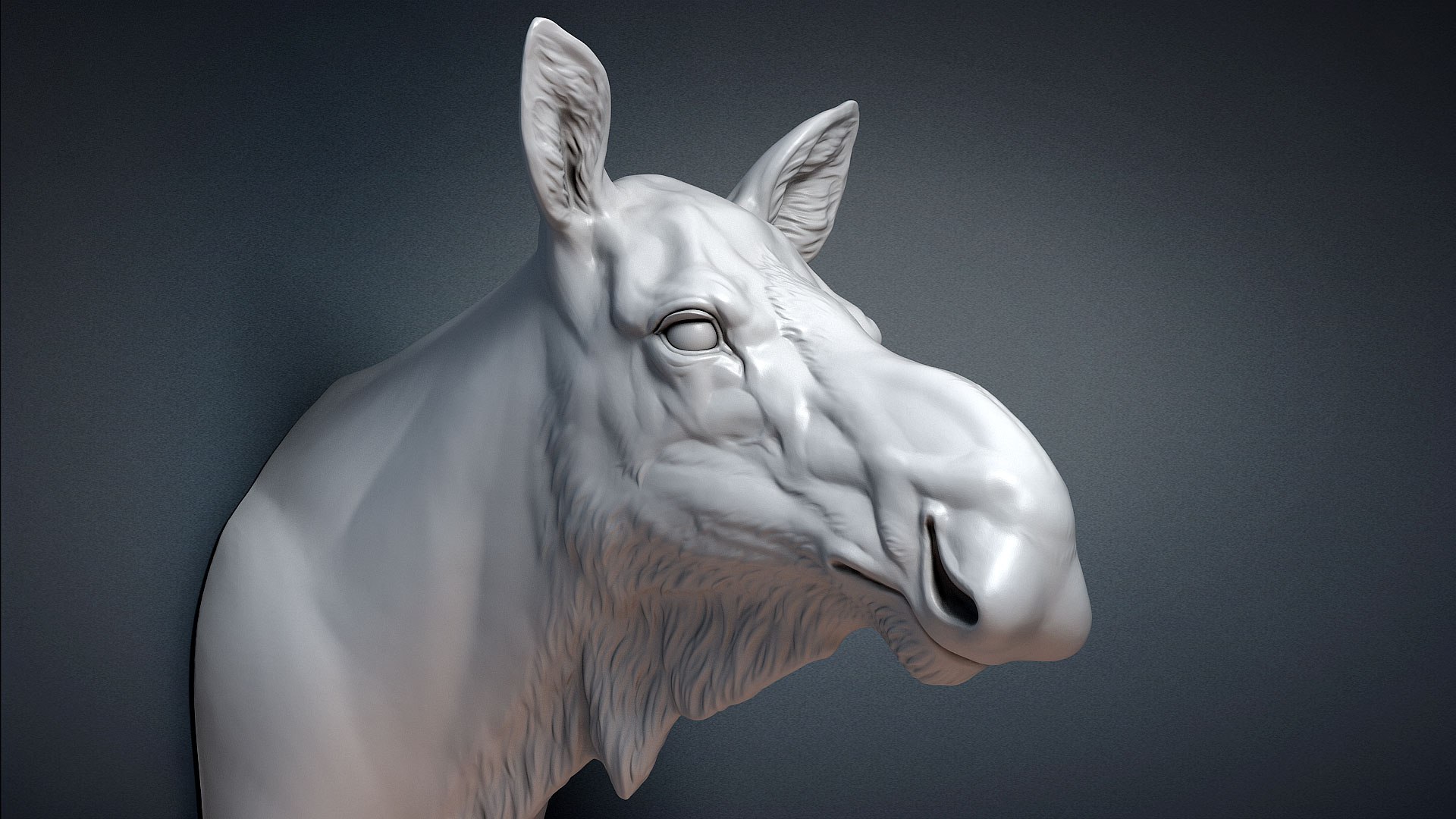 Moose Elk Head Sculpture Antlerless Model - TurboSquid 1718540