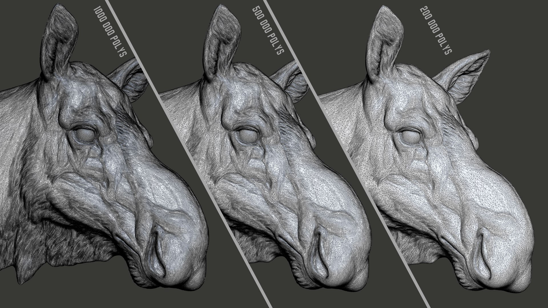 Moose Elk Head Sculpture Antlerless Model - TurboSquid 1718540