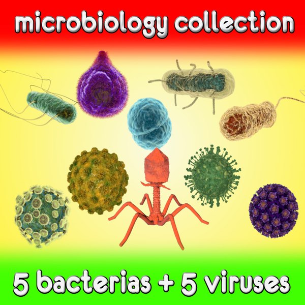 Bacteria 3D Models for Download | TurboSquid