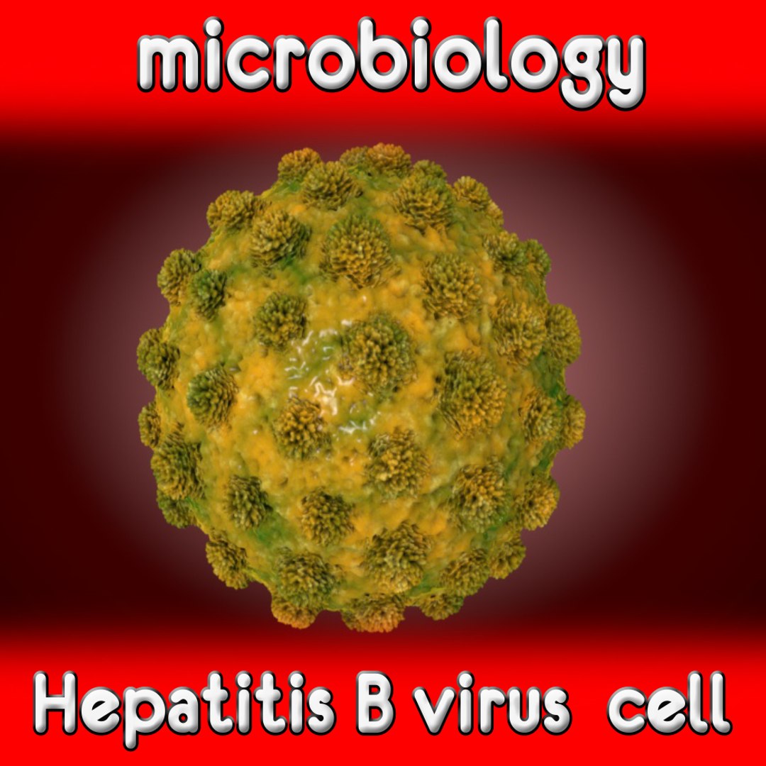 Microbiology Virus 3d Model