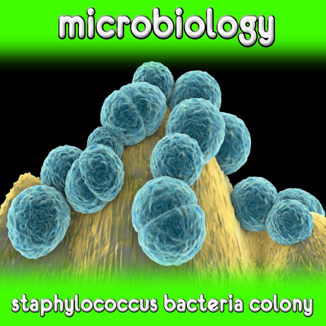 Microbiology Virus 3d Model