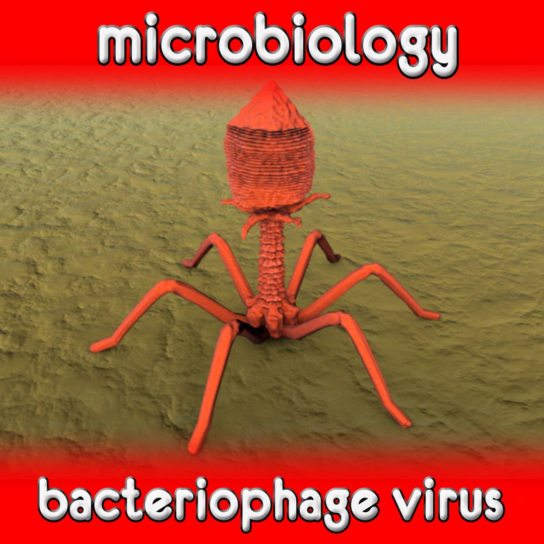 microbiology virus 3d model