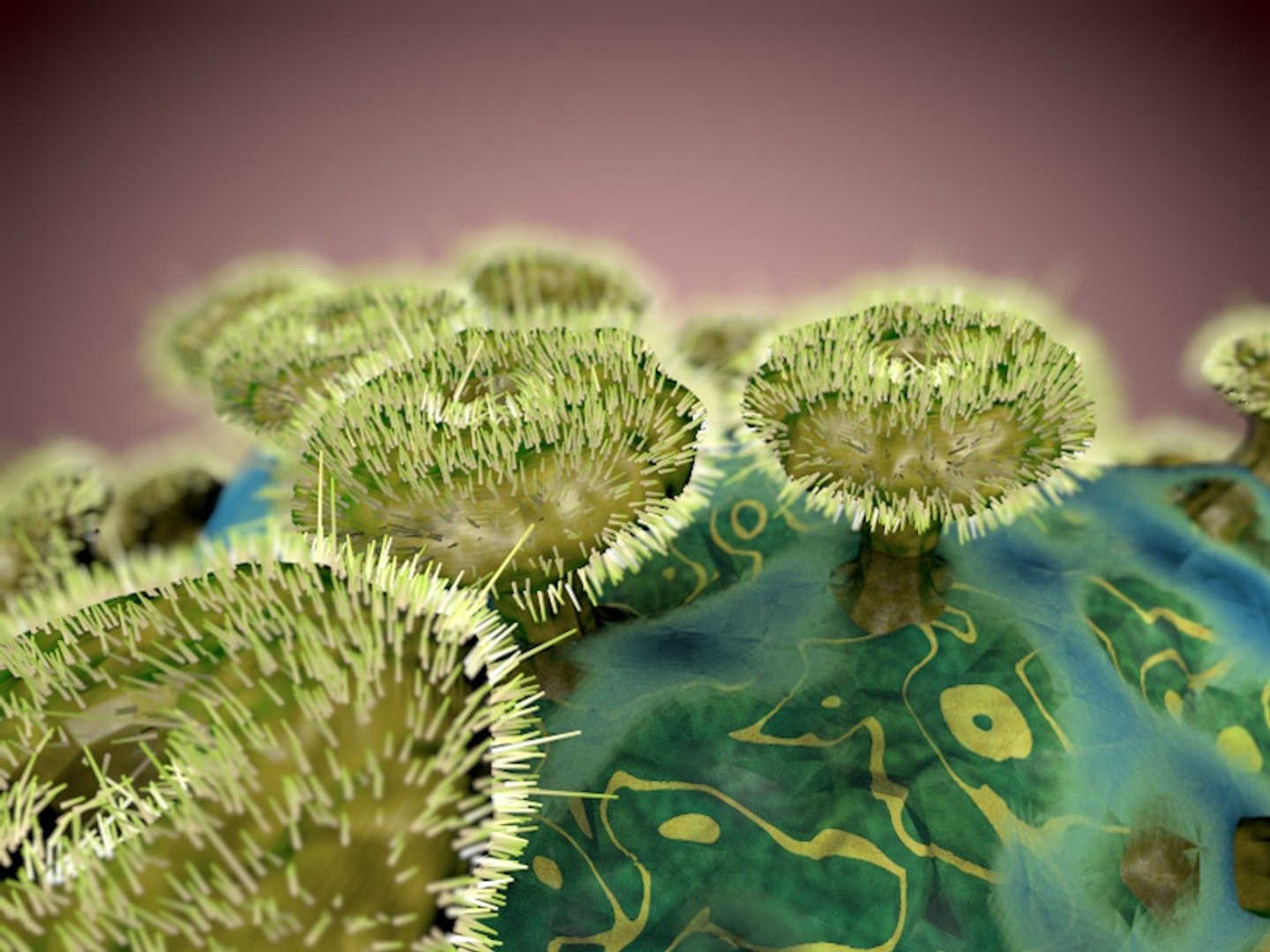 microbiology virus 3d model