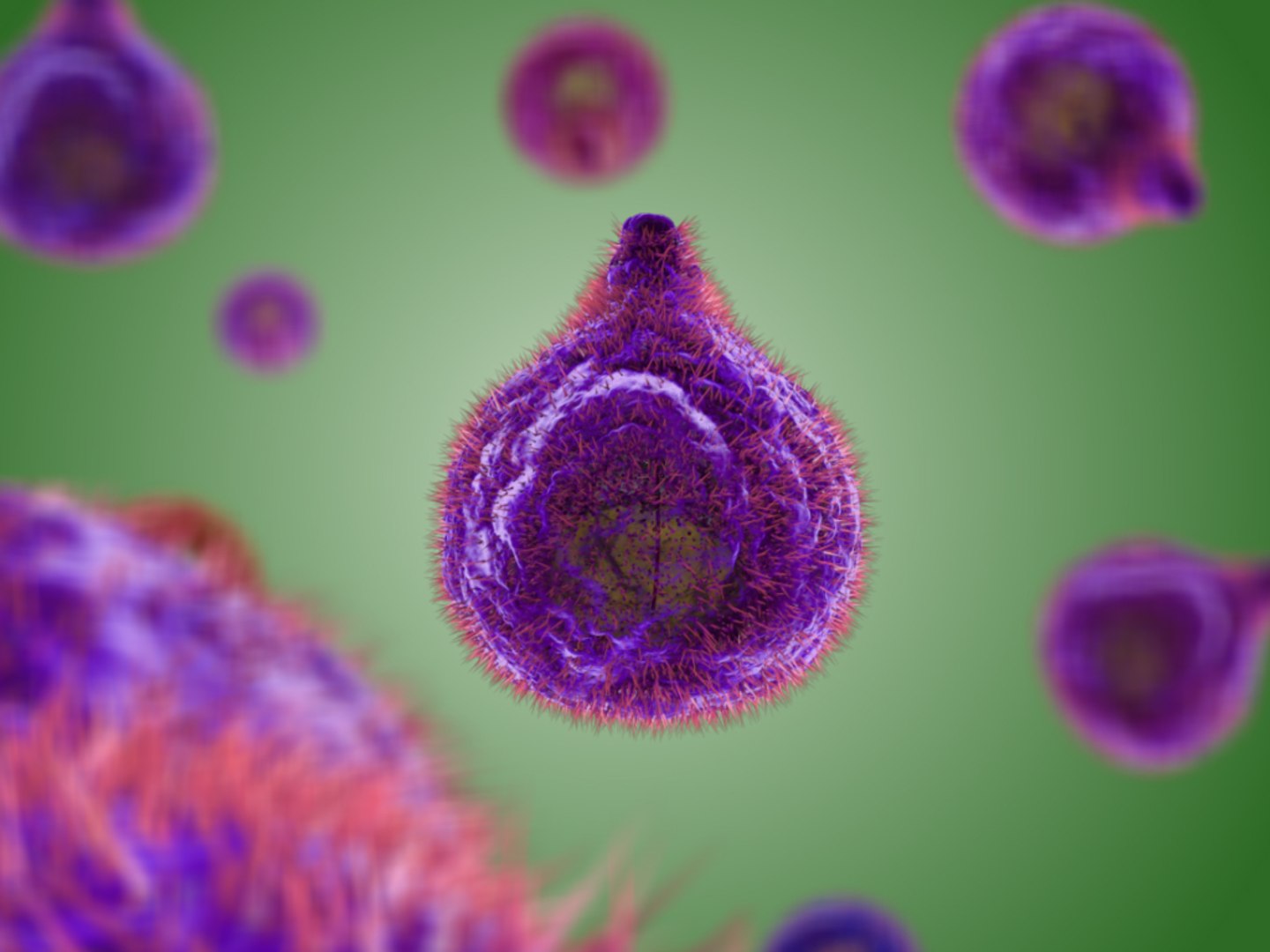 Microbiology Virus 3d Model