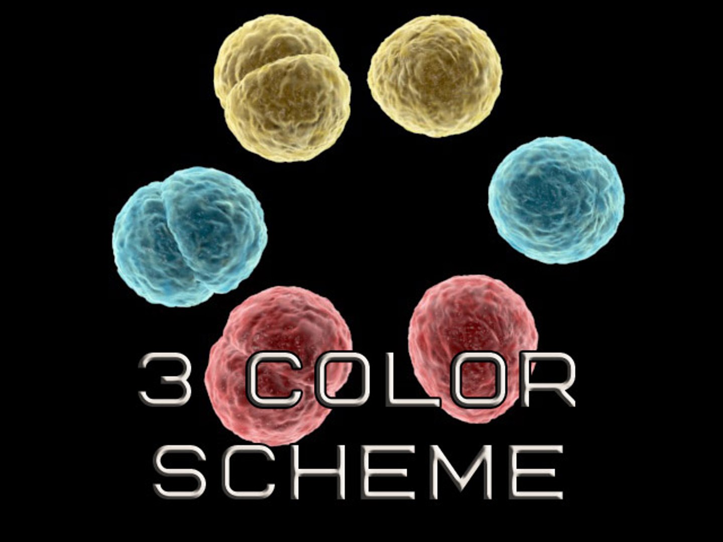 Microbiology Virus 3d Model