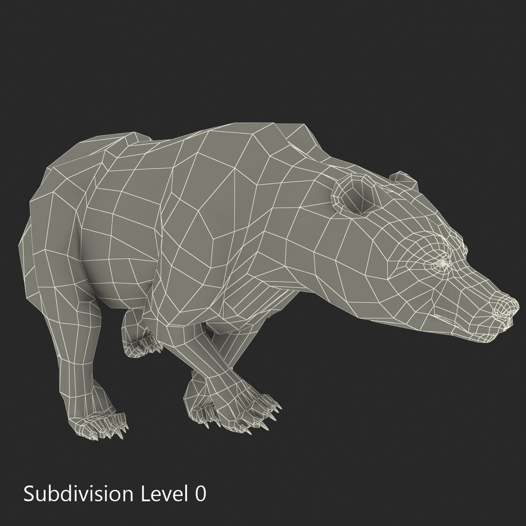 3d Model Of Grizzly Bear Pose 4