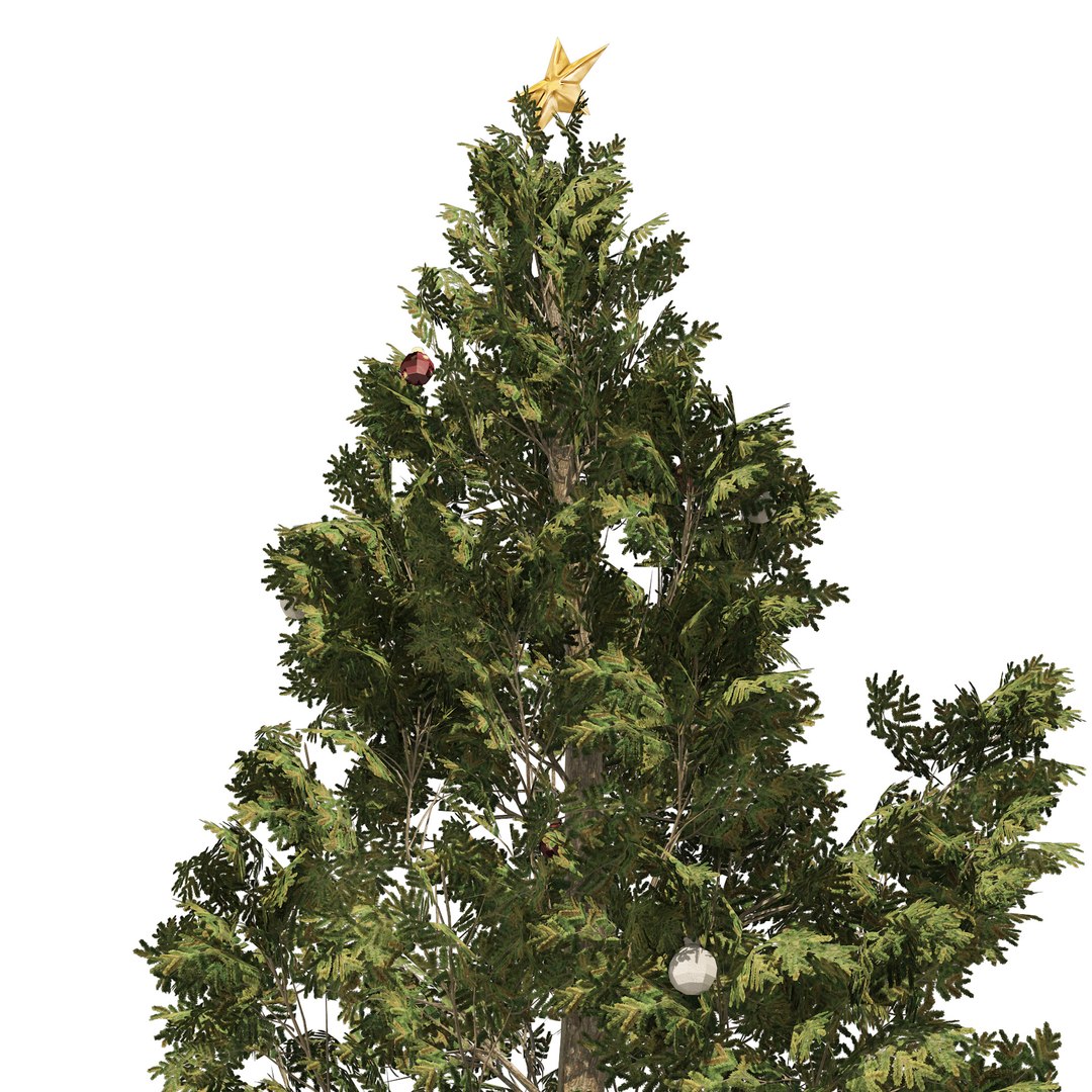 3D Outdoor Christmas Cedar Pine Trees With Wood Fence Model ...