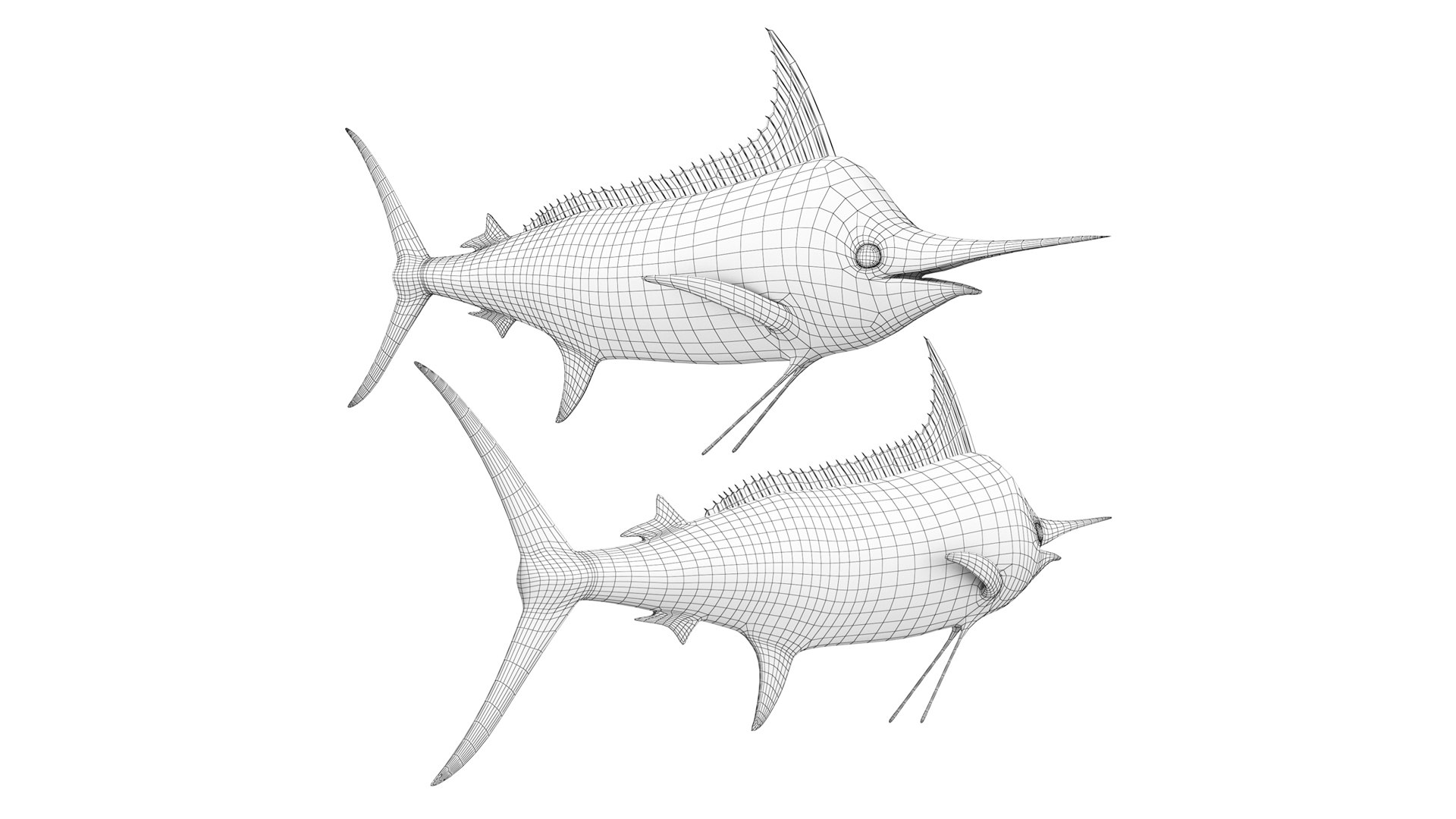 Marlin fish 3D - TurboSquid 2145935