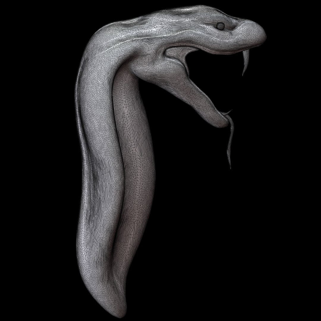 3d Snake Head Sculpture