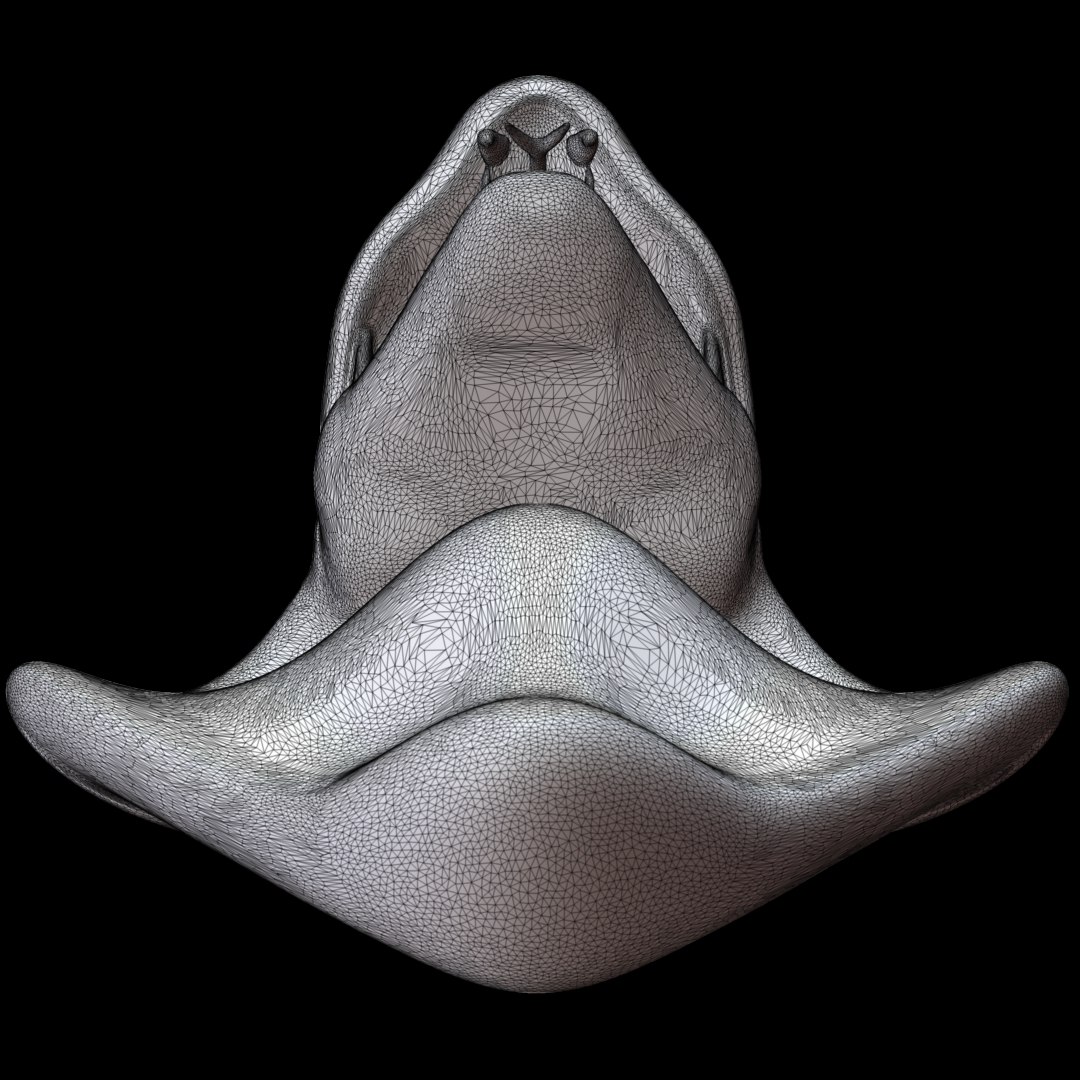 3d Snake Head Sculpture