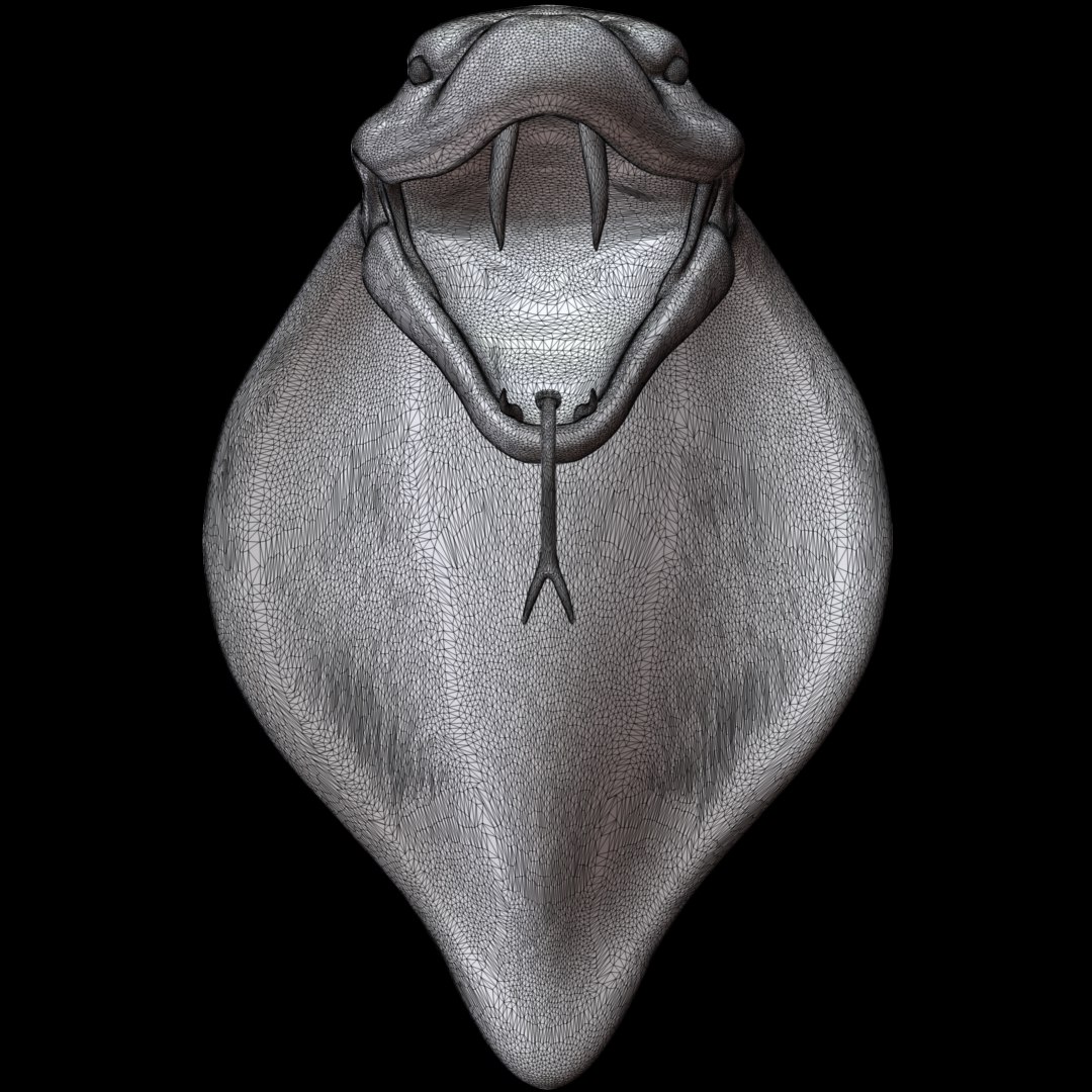 3d Snake Head Sculpture